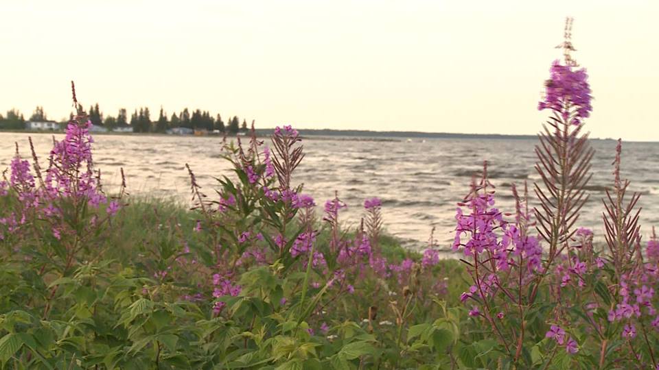 Portfolio Samples – Kate Adach